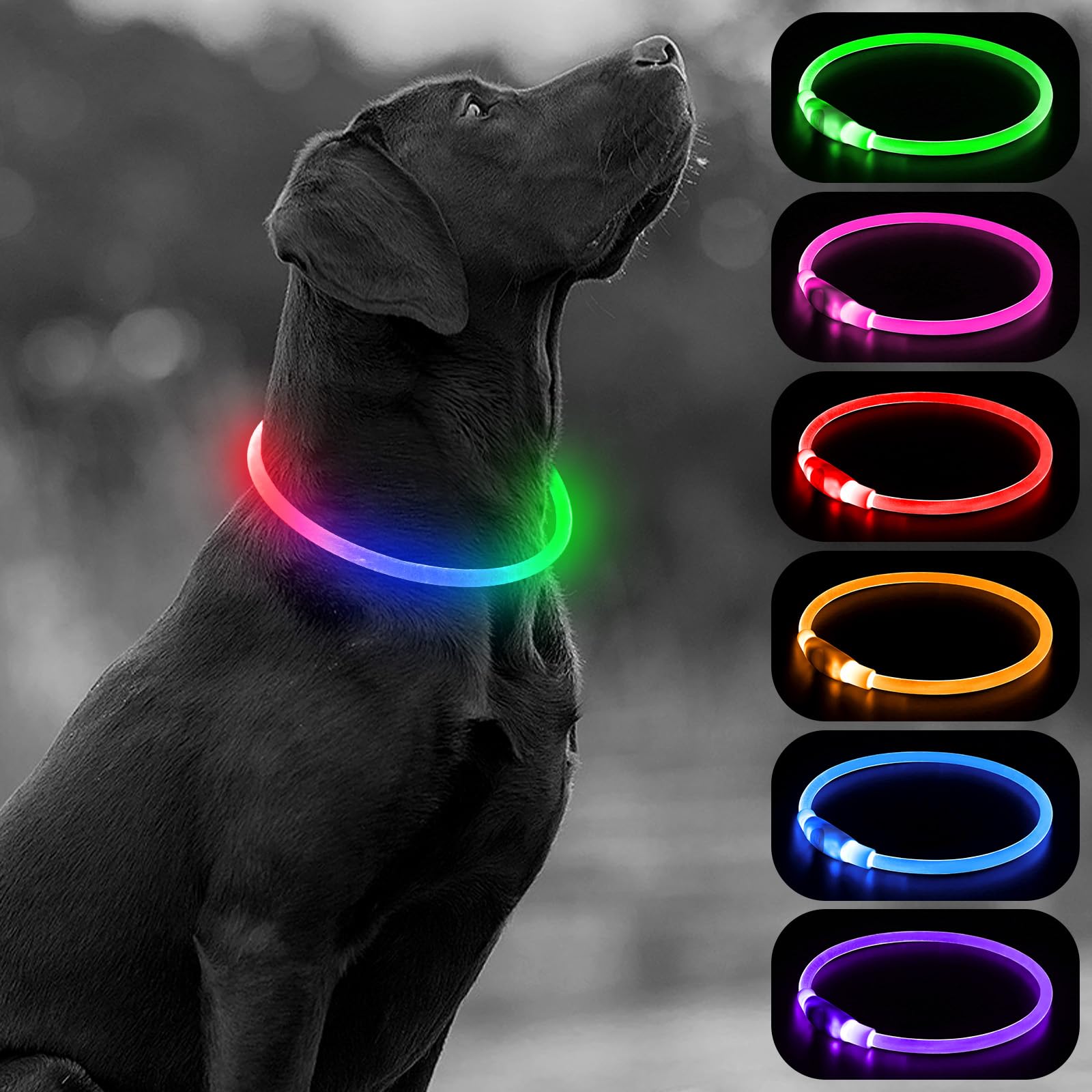 HIGO LED Dog Collar, Silicone Lightweight Light Up Dog Collars, USB Re ...
